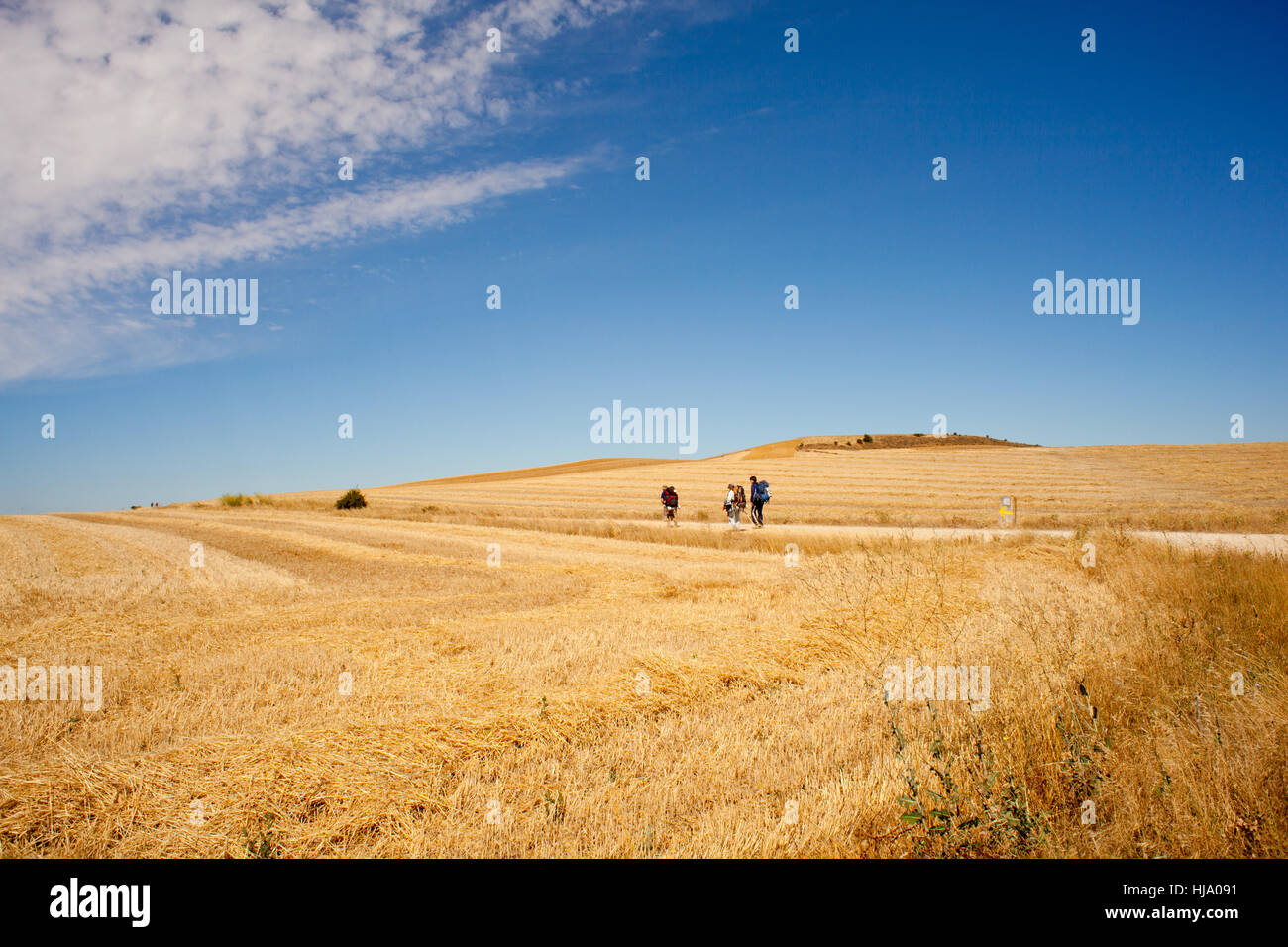 country, scenery, countryside, nature, life, exist, existence, living ...