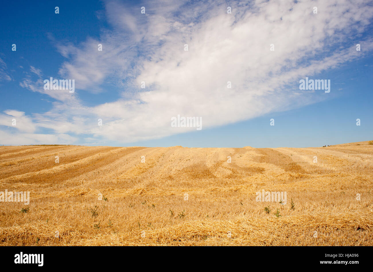 country, scenery, countryside, nature, life, exist, existence, living ...