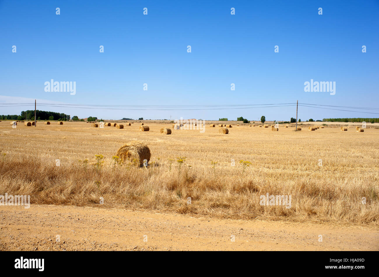 country, scenery, countryside, nature, life, exist, existence, living ...