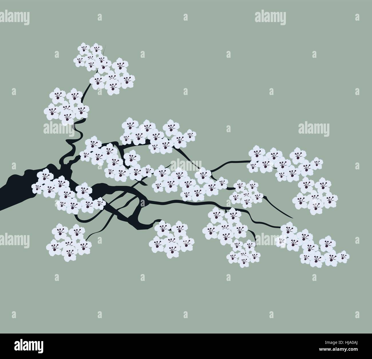 vector illustration of cherry blossom branch Stock Vector Image & Art ...