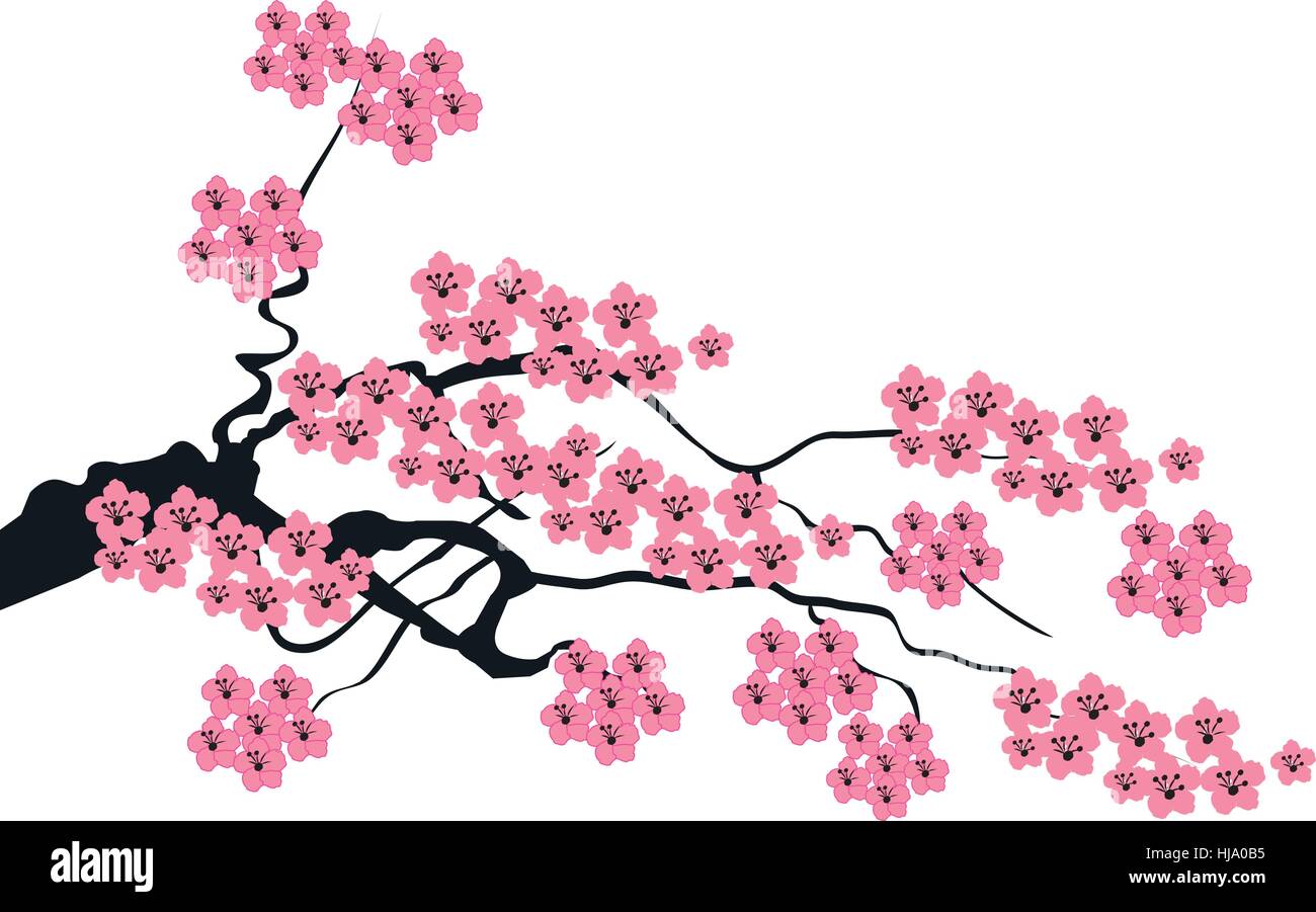 vector illustration of cherry blossom branch Stock Vector Image & Art ...