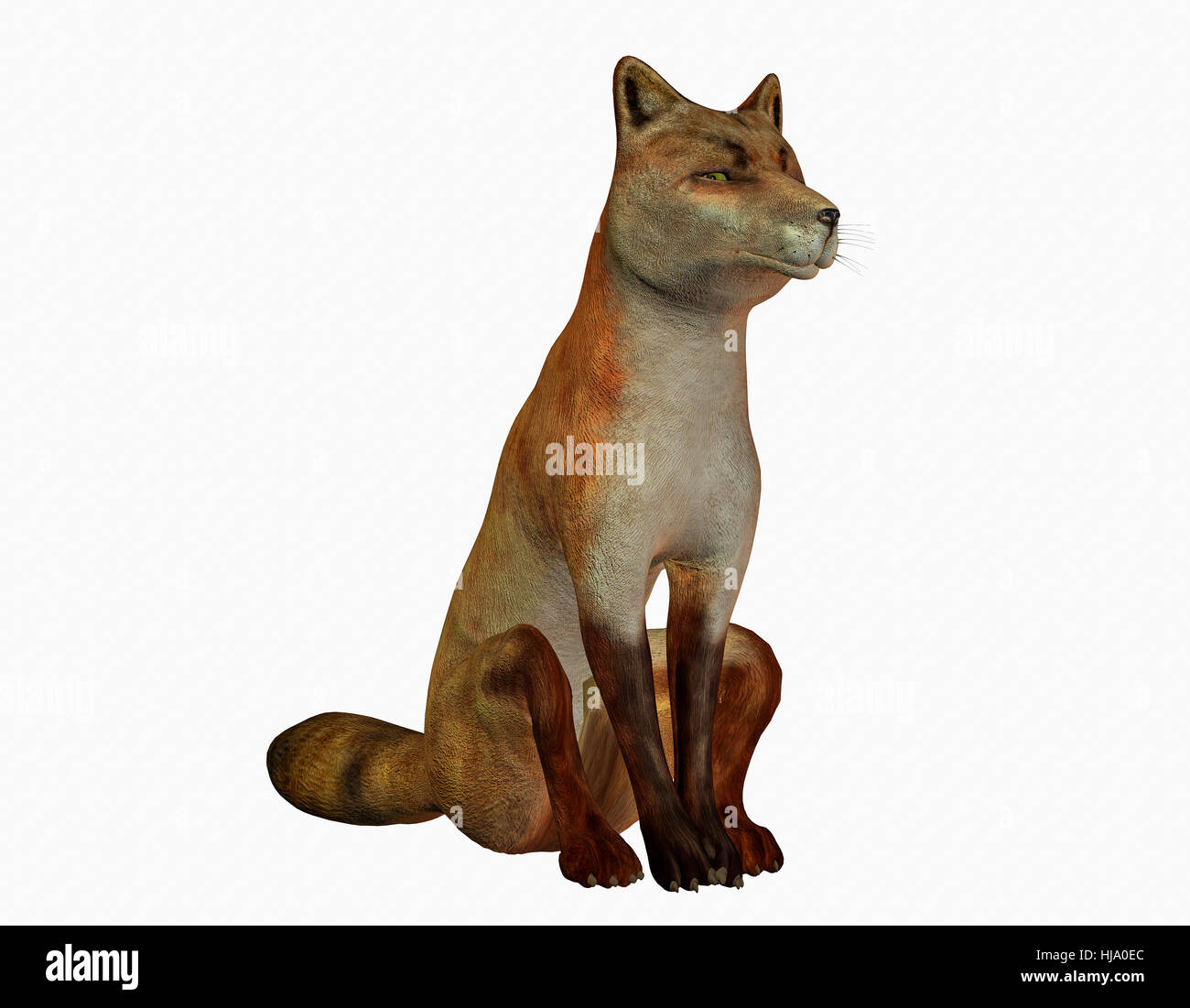 animal, skin, illustration, predator, fox, foxtail, animal, hunter, zoo ...