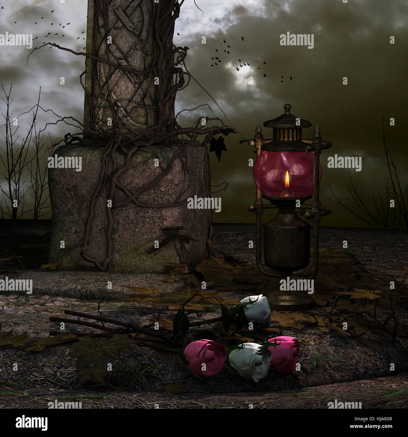 flower, plant, rose, roses, shiner, light, lamp, luminary, backdrop ...