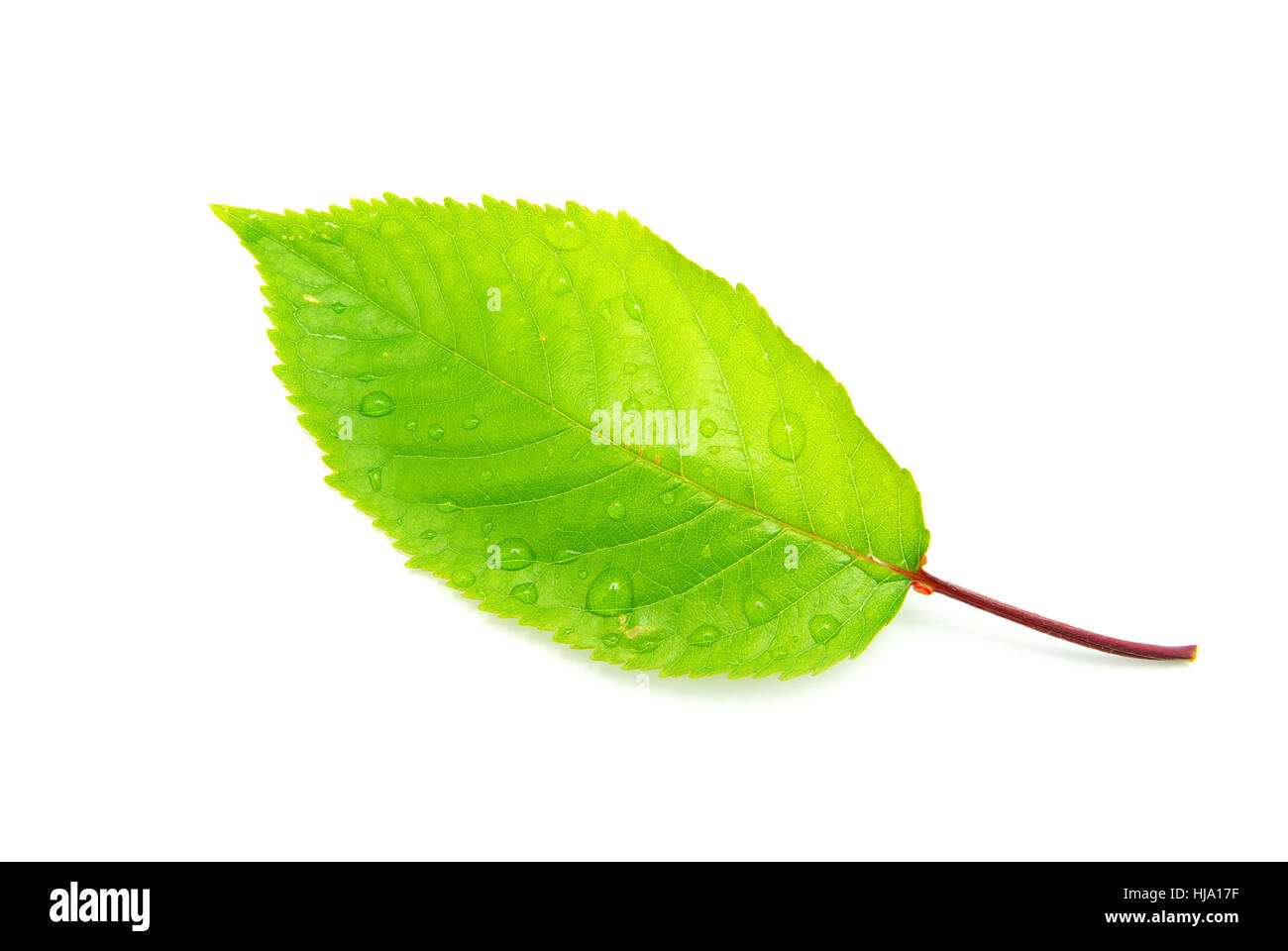 life, exist, existence, living, lives, live, social, model, design ...