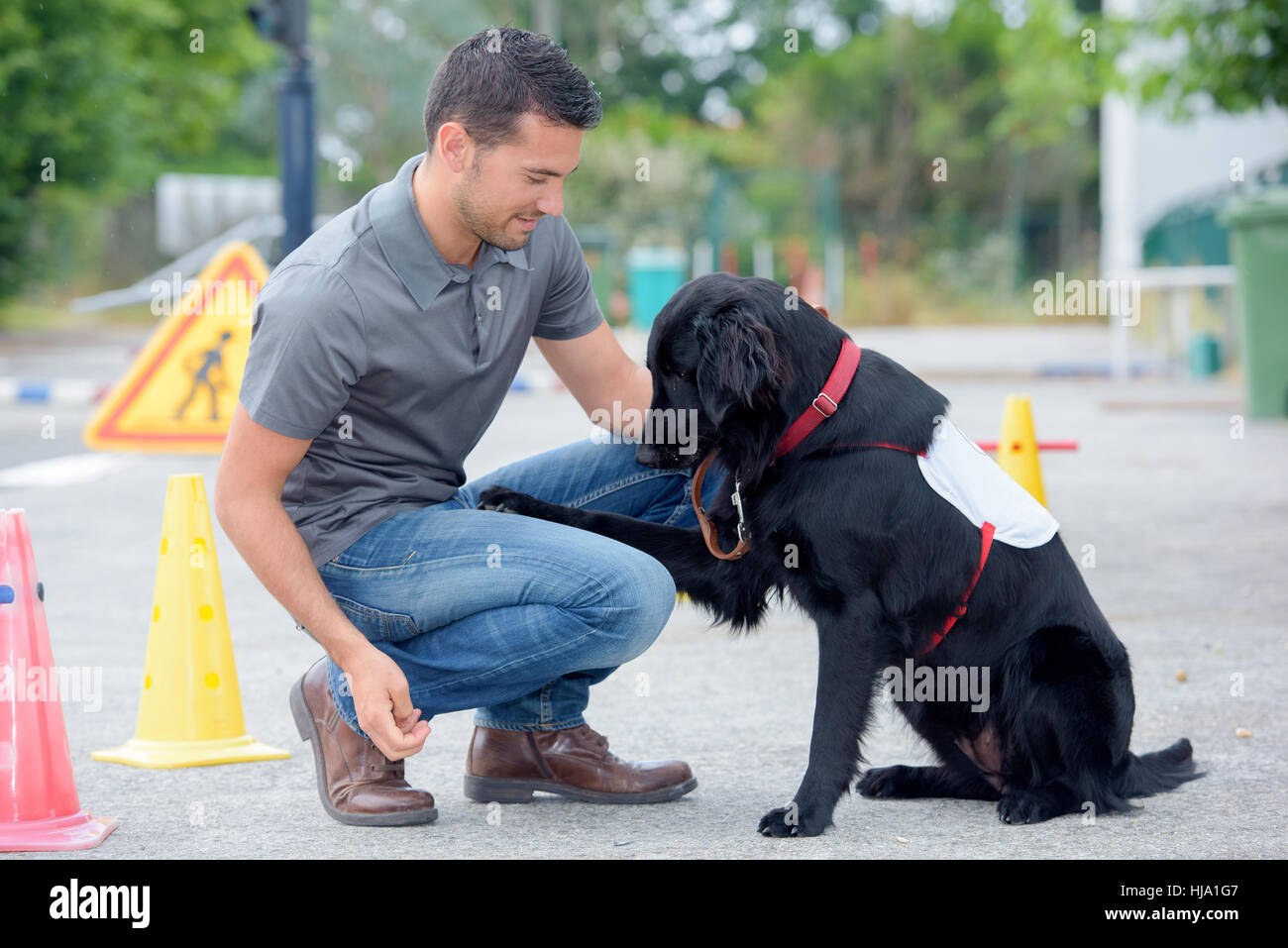 Dog handler hi-res stock photography and images - Alamy