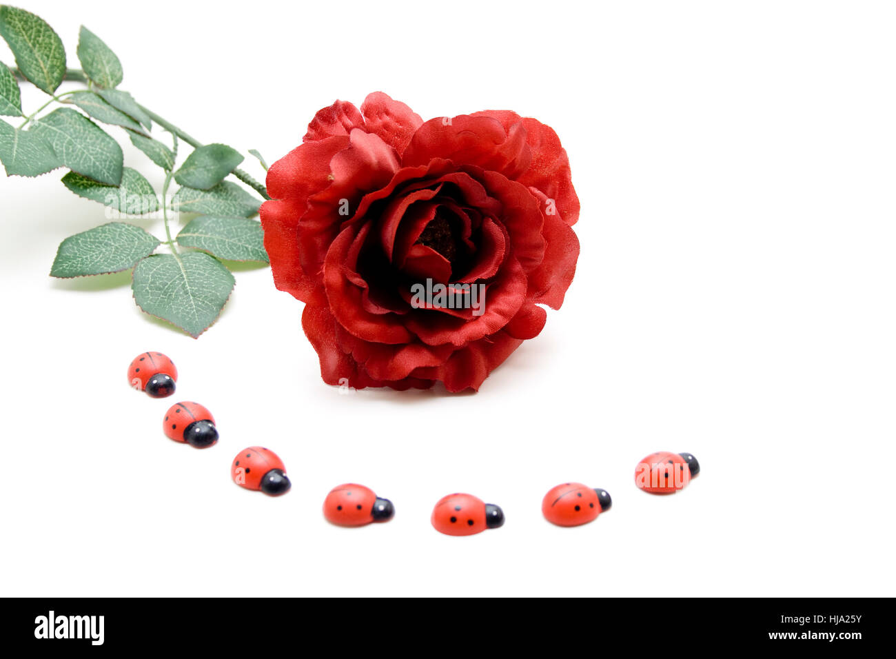 Red beetle hi-res stock photography and images - Alamy