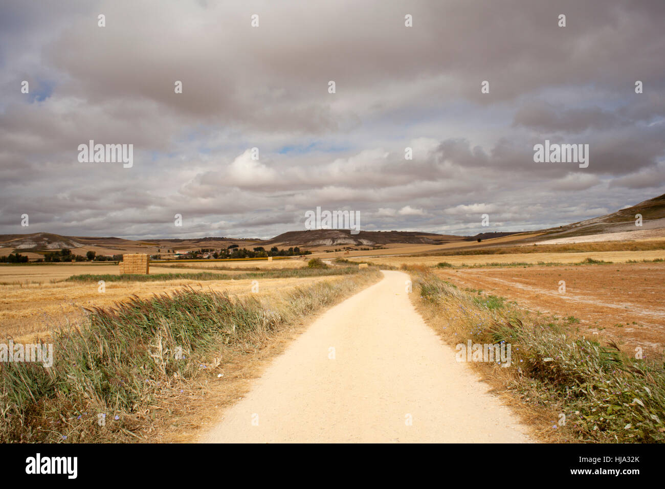 Road Of Life