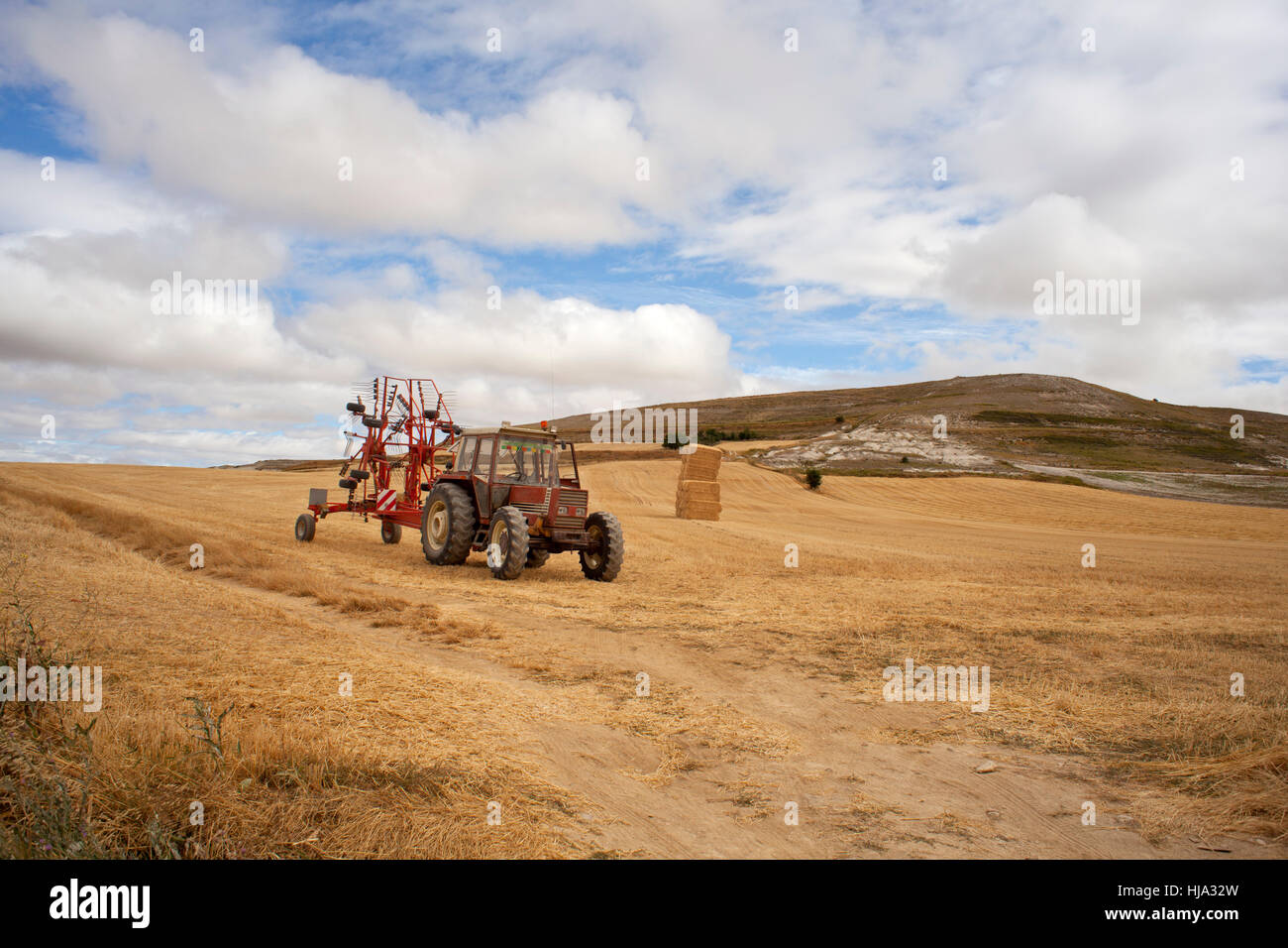 tractor, country, cornfield, scenery, countryside, nature, holiday ...