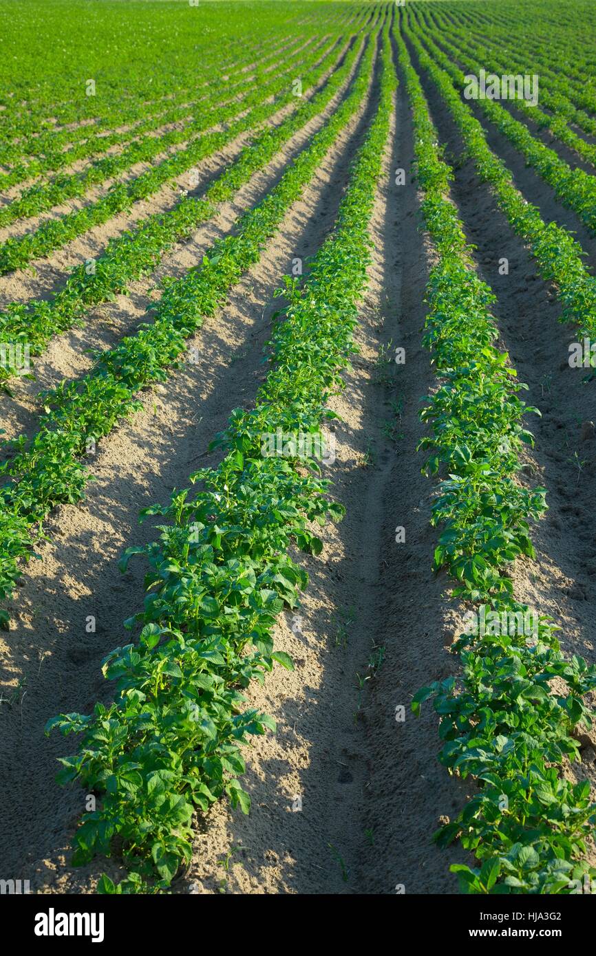 agricultural, environment, enviroment, industry, ground, soil, earth ...
