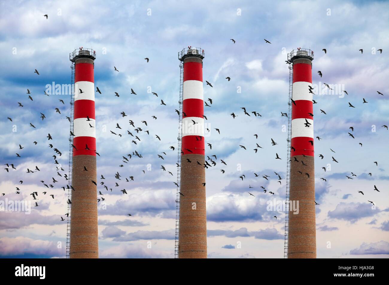 Industrial chimneys with flying birds Stock Photo - Alamy