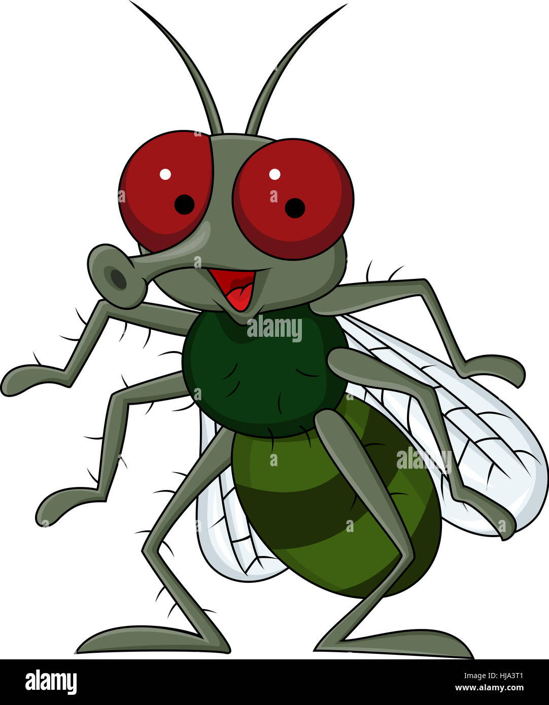 Cartoon illustration funny fly housefly hi-res stock photography and ...