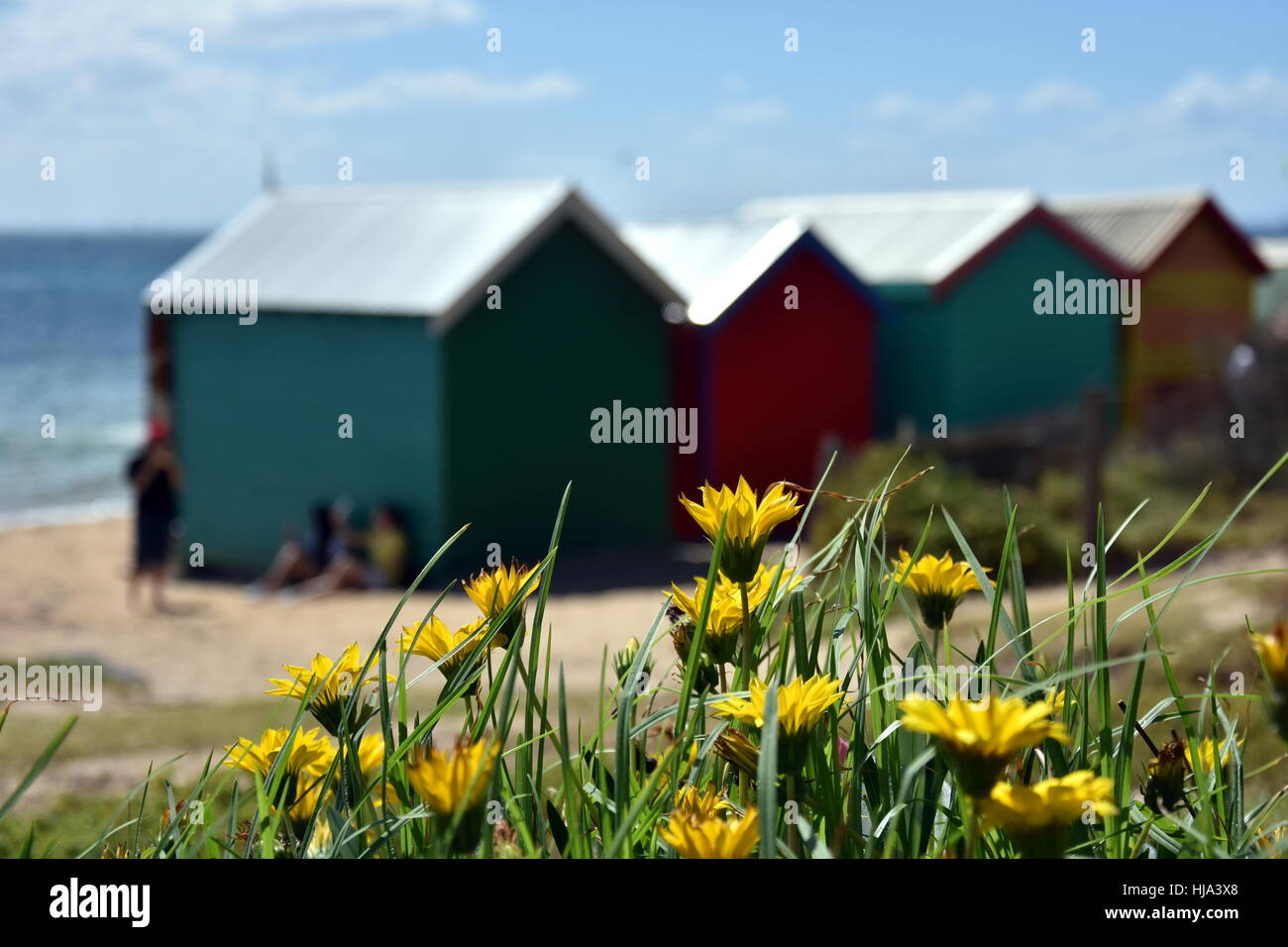Yellow wave brighton hi-res stock photography and images - Alamy