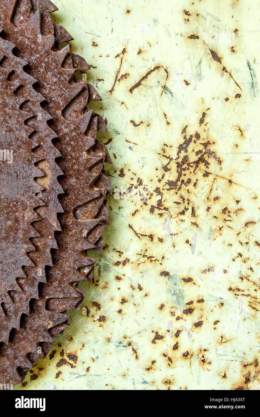 tool, workshop, wood, silver, metal, rusty, tooth, wise, attentive ...