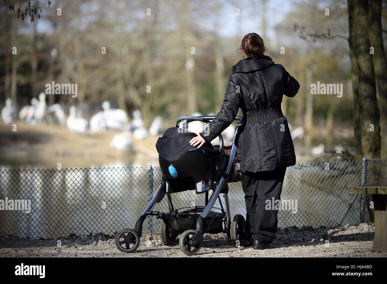 park, zoo, baby, mother, mom, ma, mommy, stroller, outdoors, watching ...