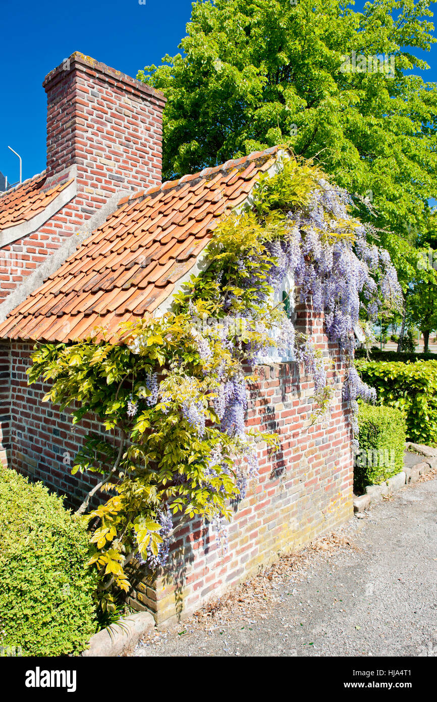 house, building, flower, plant, europe, france, outside, facade, style ...