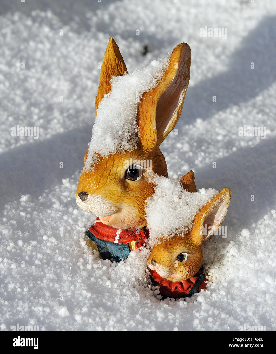 cold, easter, snow, surprise, garden, cold, easter, spring, hare ...