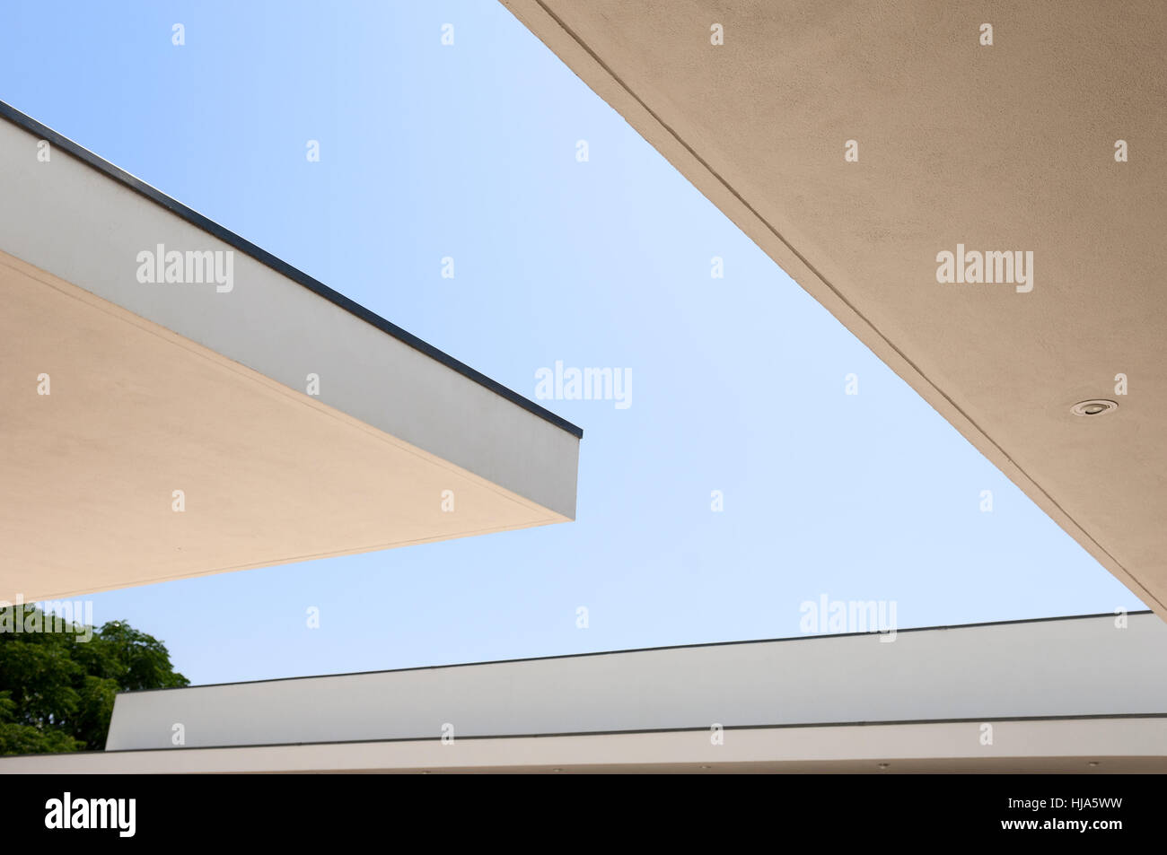 architectural, detail, tree, modern, modernity, new, diagonal, concrete ...