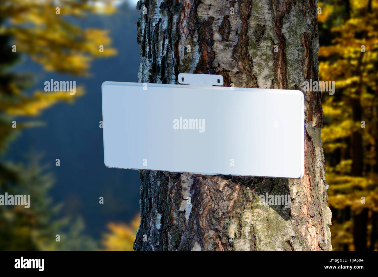 sign, signal, tree, hike, go hiking, ramble, experience, migrate ...