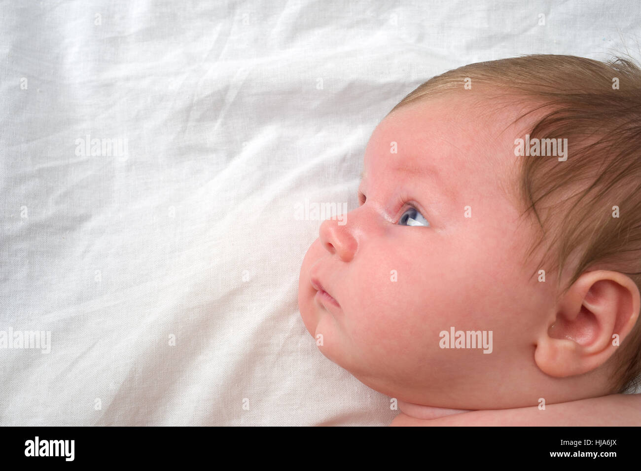 profile, look, glancing, see, view, looking, peeking, looking at, baby ...