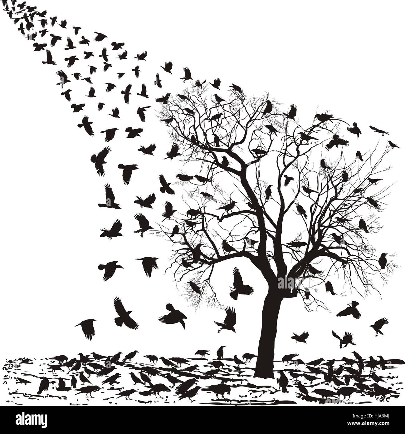 tree, bird, wildlife, crow, carrion, fly, flies, flys, flying, nature ...