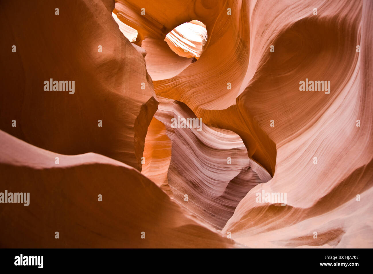 national park, formation, arizona, Canyon, design, shaping, shape ...