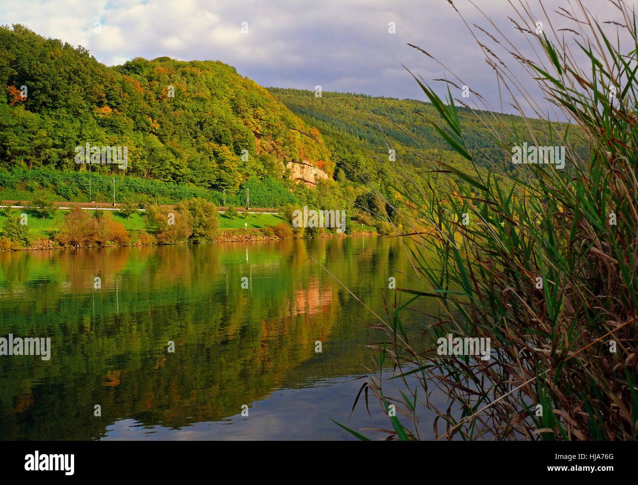 Natural preserve neckar valley hi-res stock photography and images - Alamy