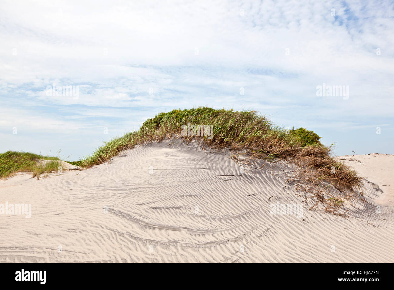 beach, seaside, the beach, seashore, formation, america, dune, design ...