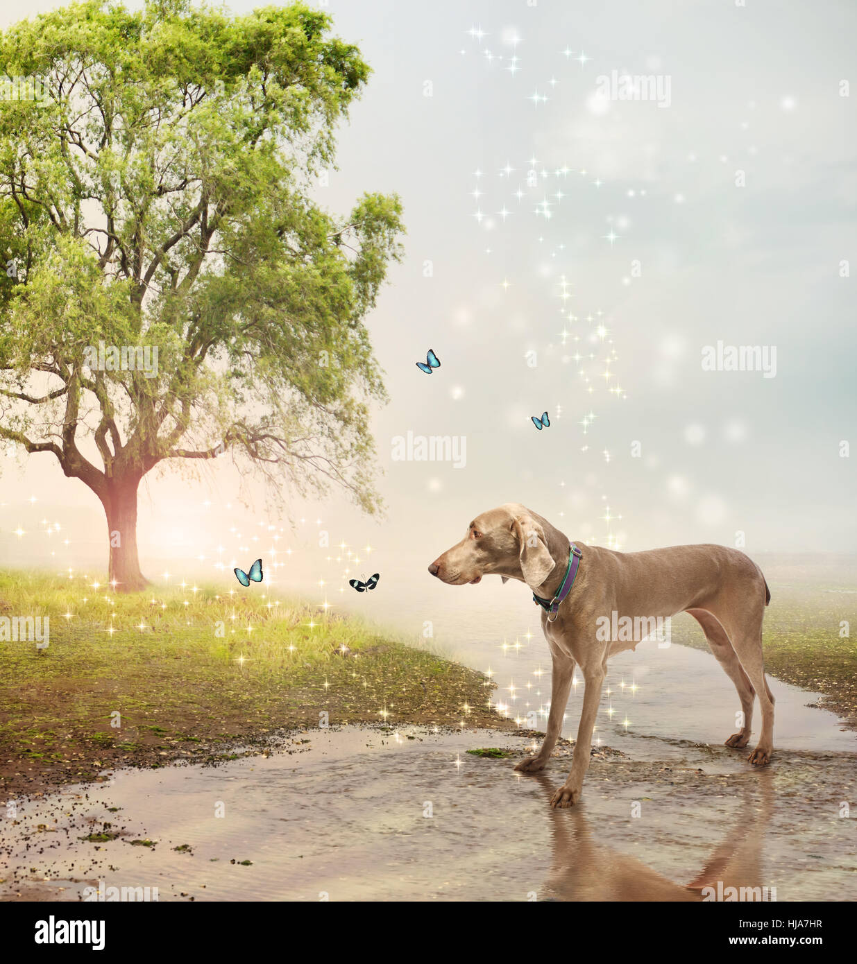 beautiful, beauteously, nice, art, model, design, project, concept ...