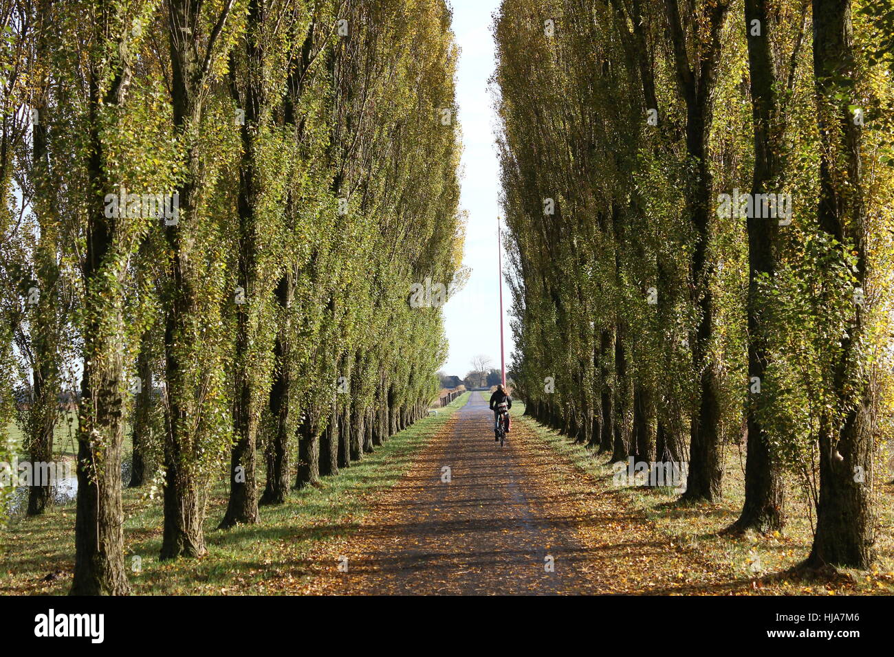 Italica road hi-res stock photography and images - Alamy