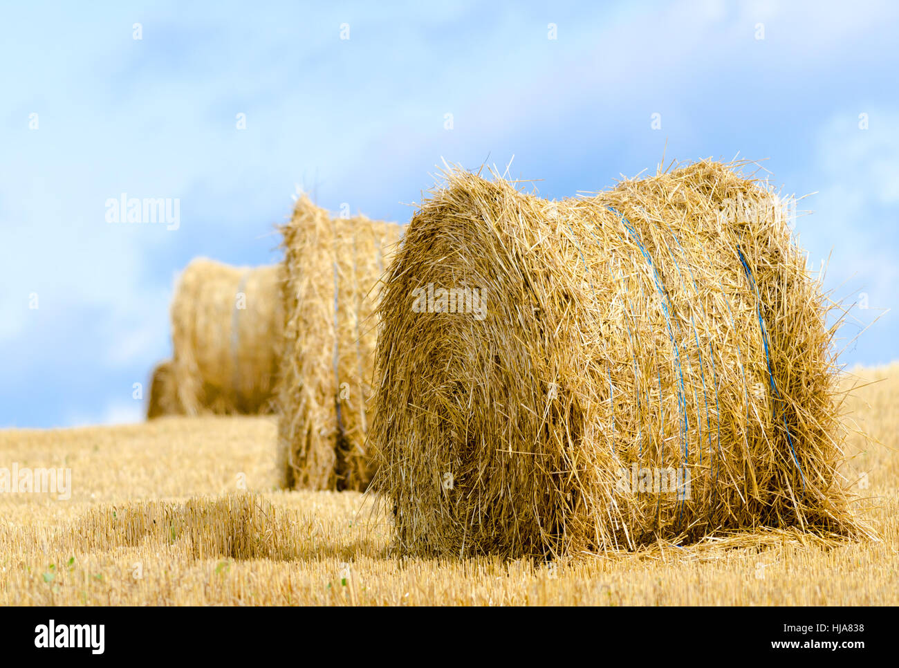 fodder, agriculture, farming, field, harvest, stack, hay, farmland ...