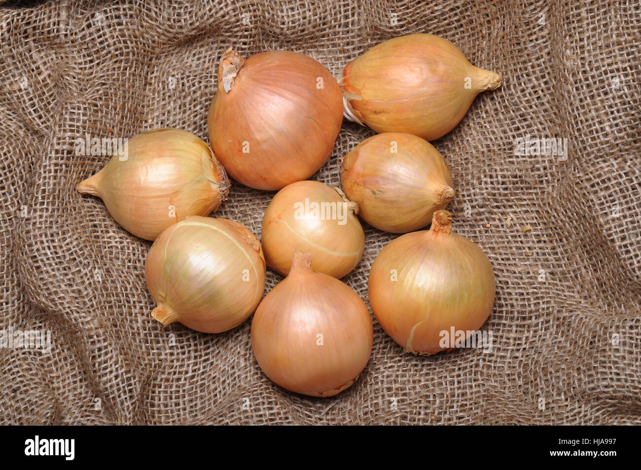 food, aliment, vegetable, onion, canvas, onions, sack, food, aliment ...