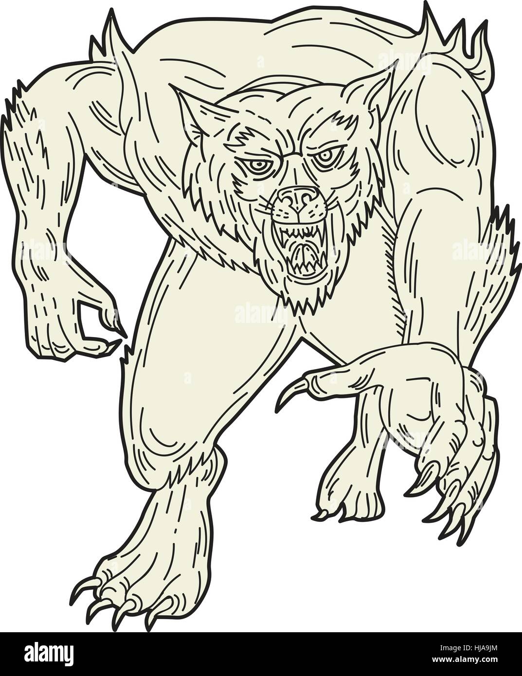 Cool Drawings Of Werewolves