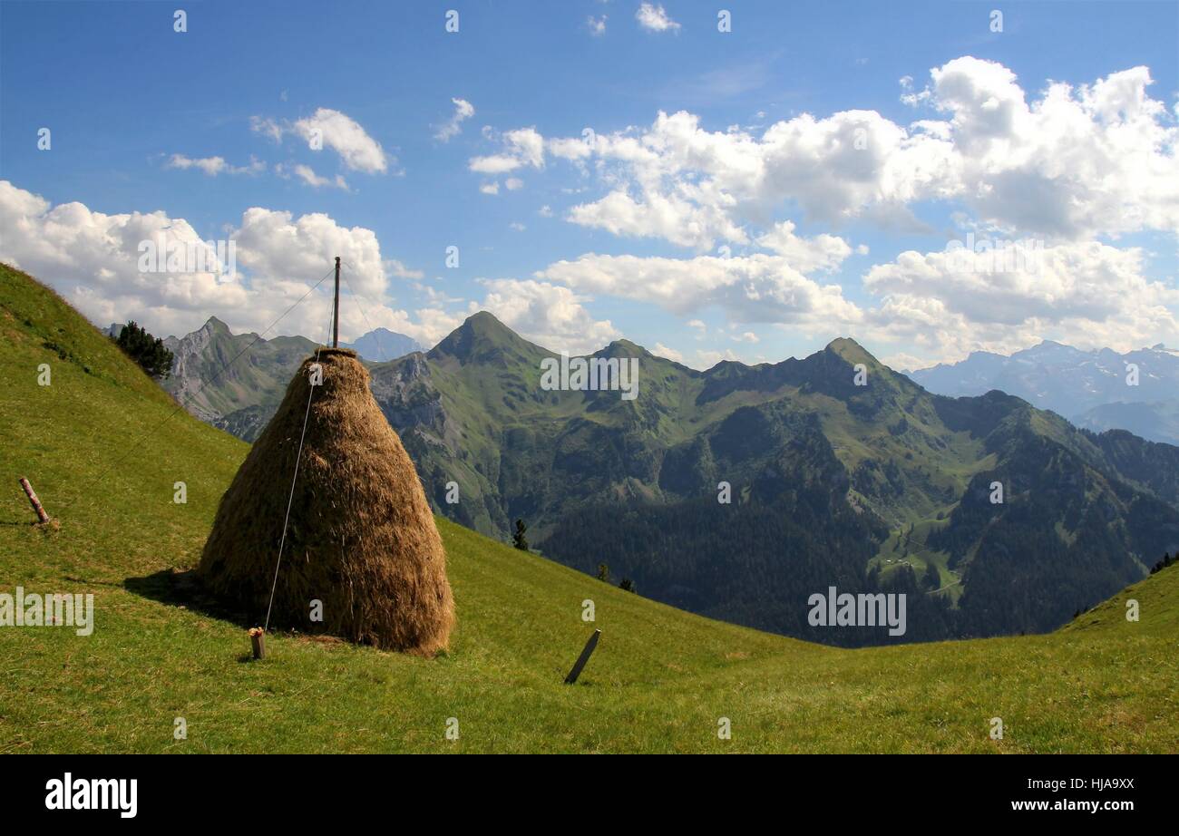fodder, mountains, agriculture, farming, alps, switzerland, traditional ...