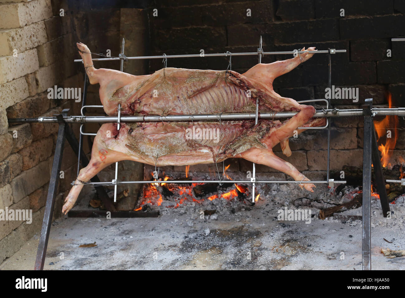 great stuck pig that cooks slowly on enormous steel spit in the ...