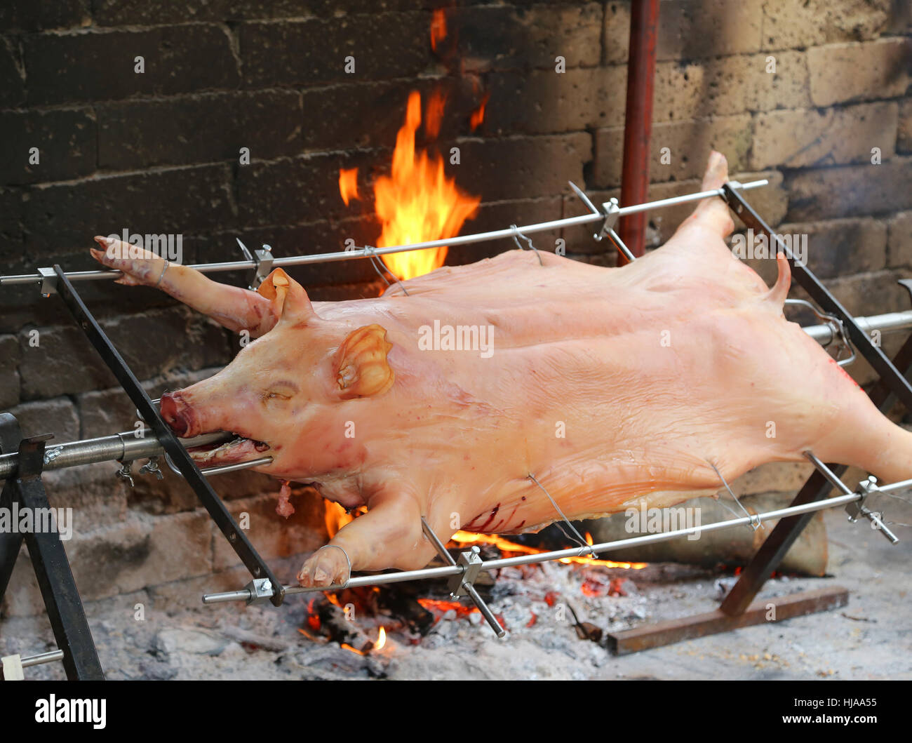Pigs blood meal hi-res stock photography and images - Alamy