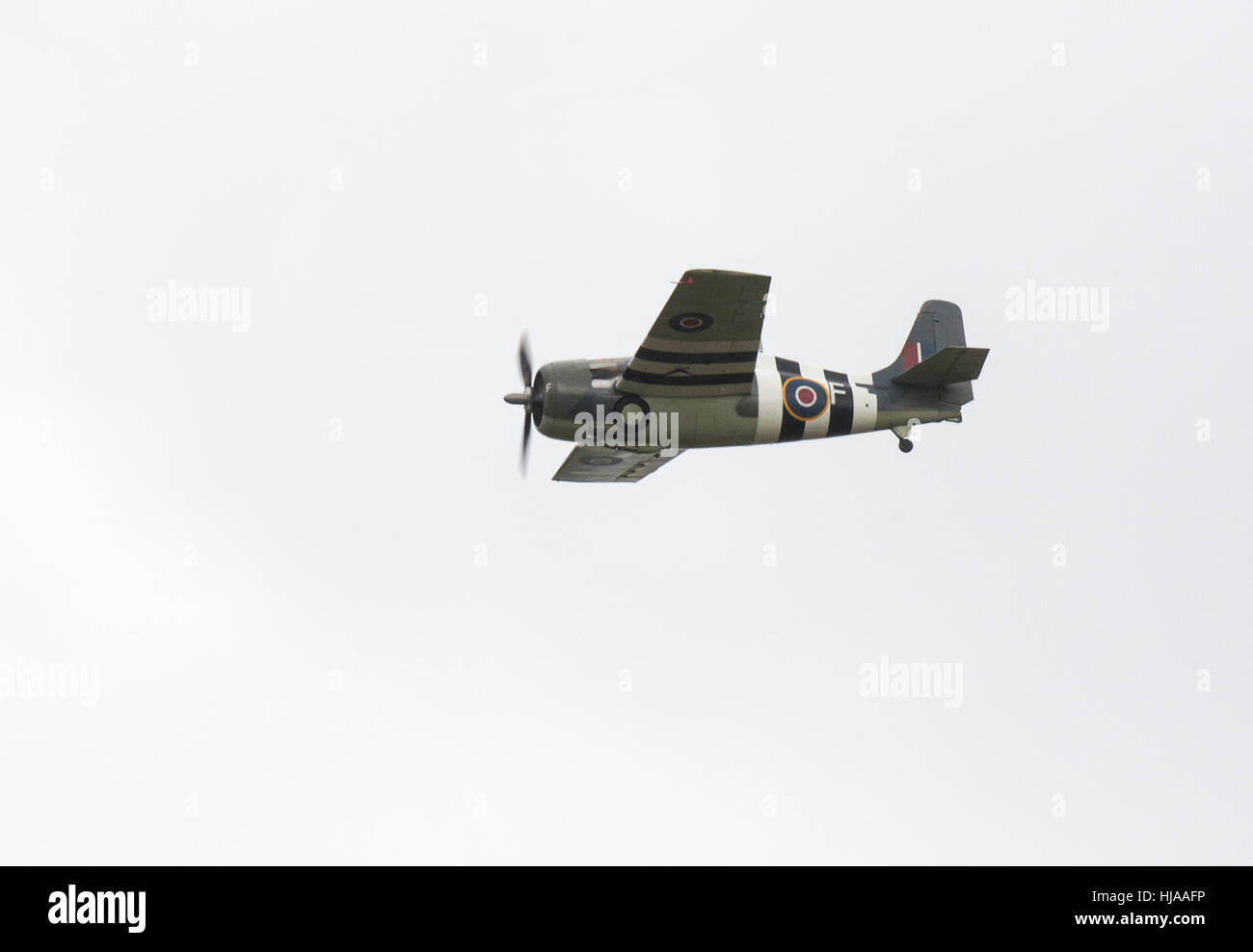 Grumman FM2 Wildcat fighter aircraft performing at a flypast to honour ...