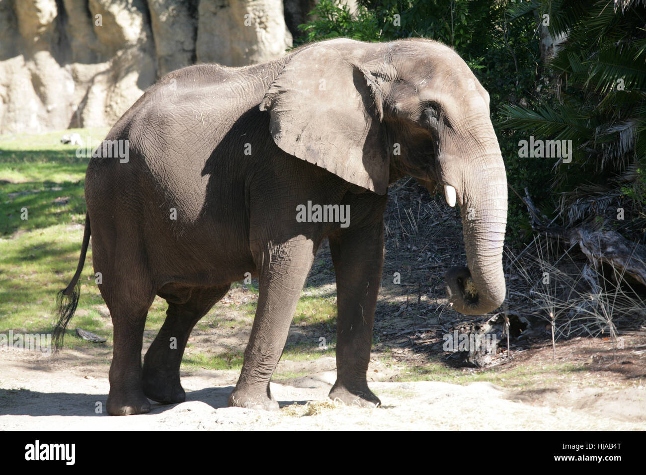 travel, big, large, enormous, extreme, powerful, imposing, immense ...