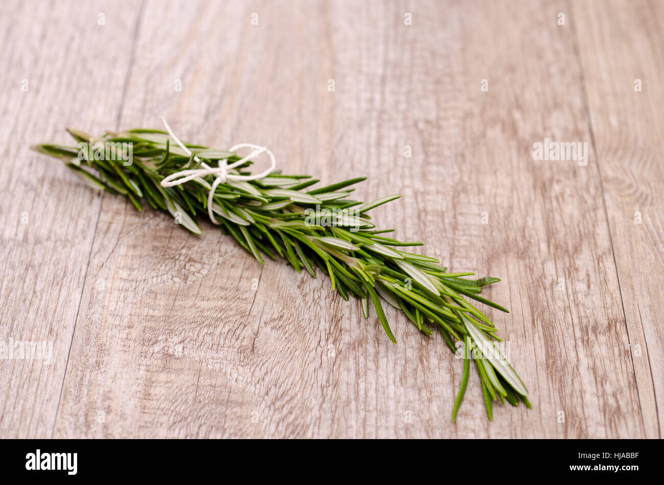 Rosemary rosmarinus officinalis bundle hi-res stock photography and ...