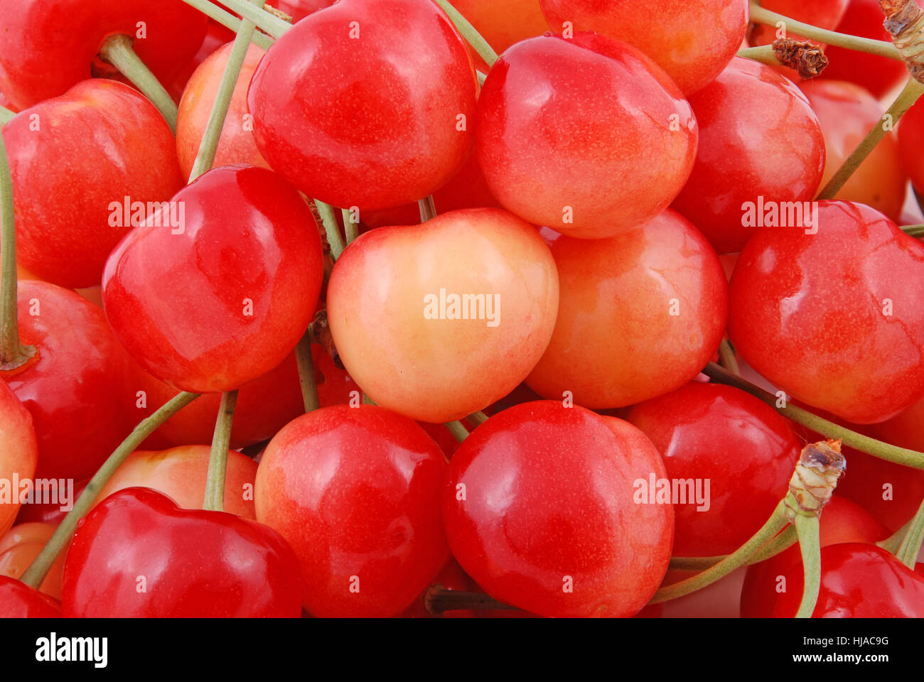 The background of red cherries close-up Stock Photo - Alamy