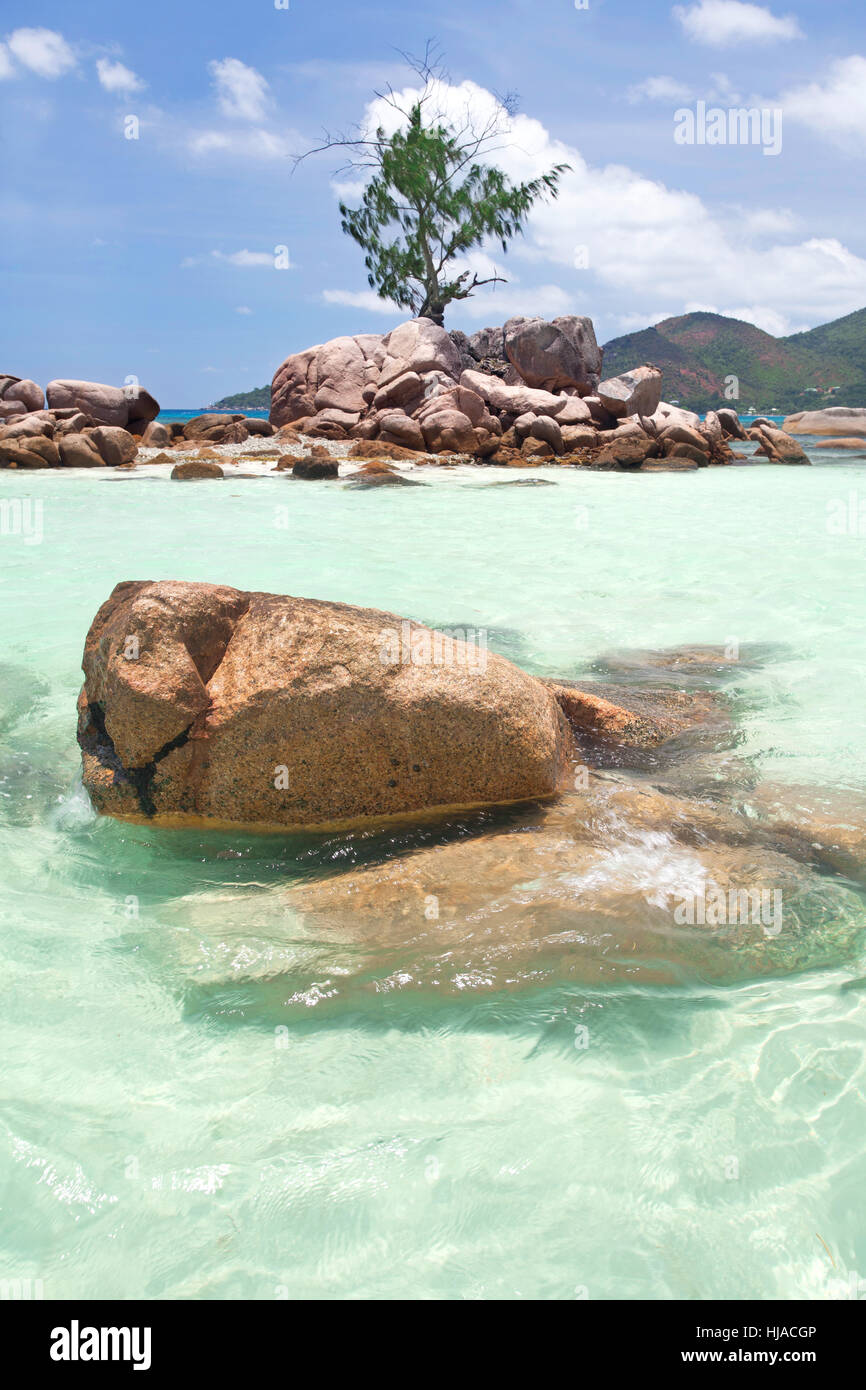 at the beach Stock Photo - Alamy