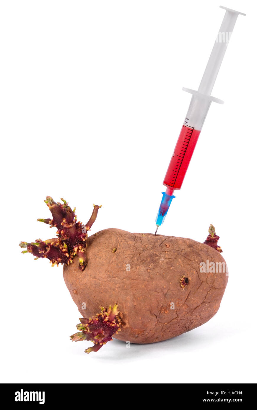Genetically modified potato hi-res stock photography and images - Alamy