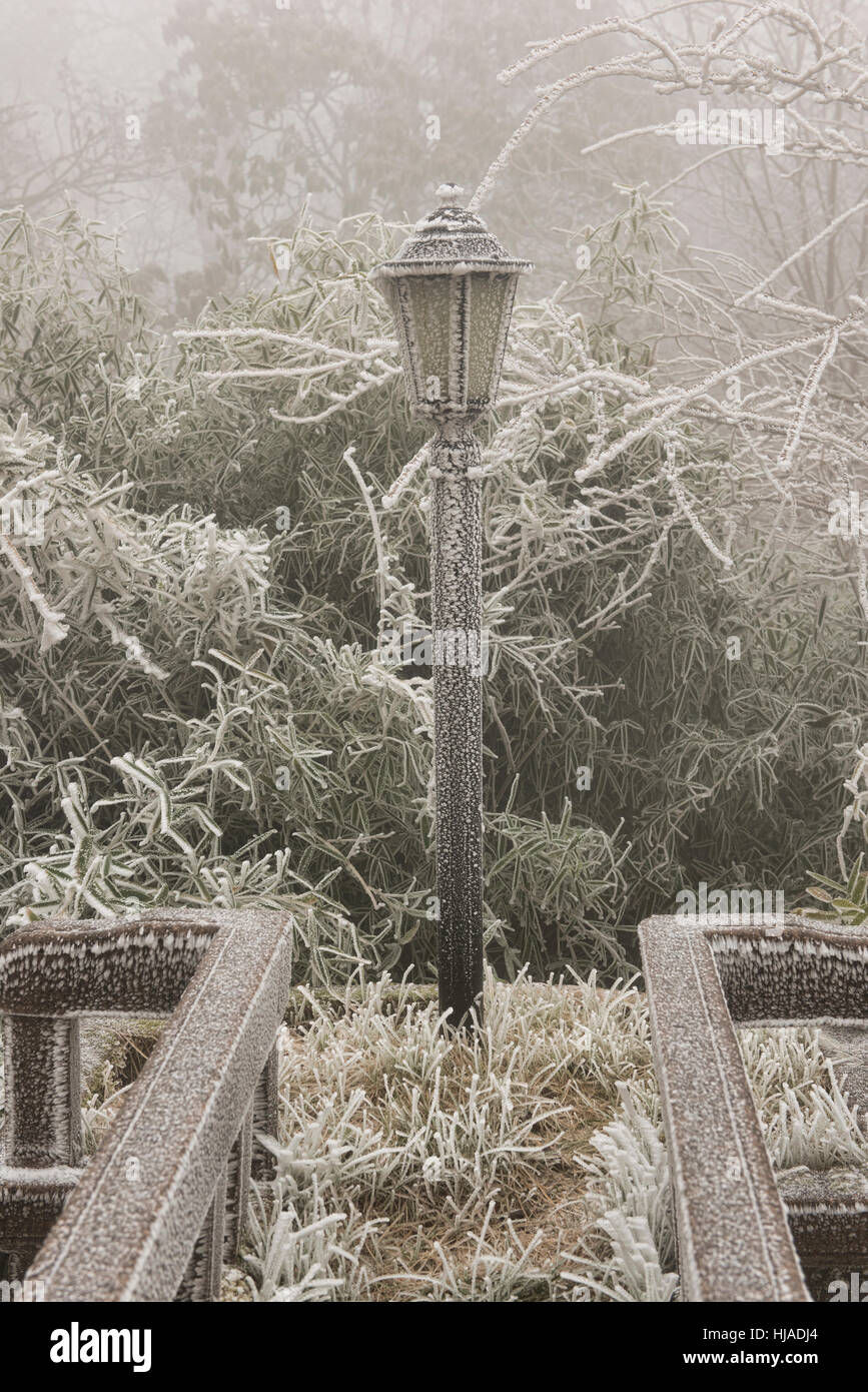 Frozen lamp post hi-res stock photography and images - Alamy