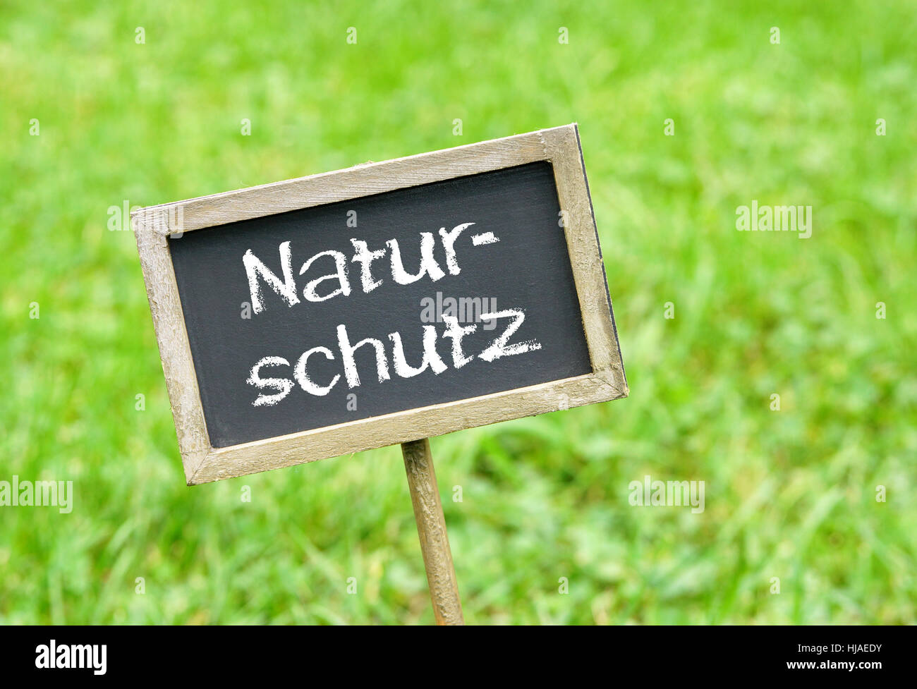 protected, sheltered, environment, enviroment, relaxation, garden ...