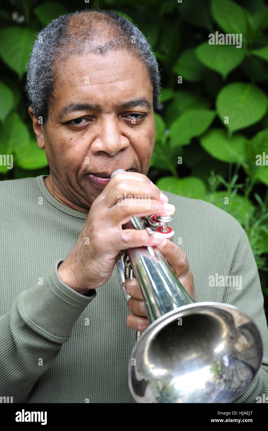 music, male, masculine, musician, jazz, flugelhorn, measure, instrument ...