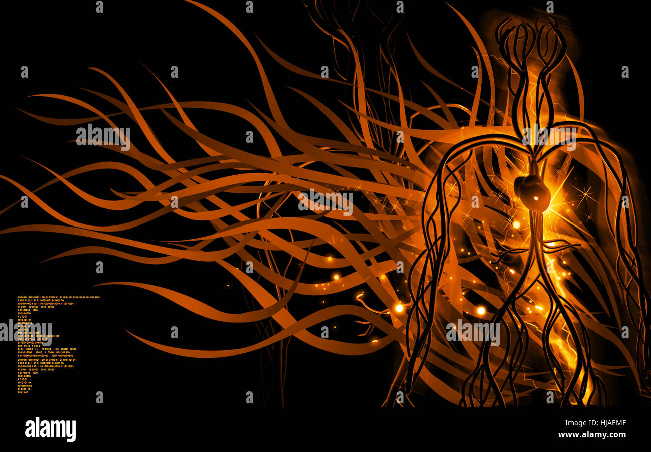 object, education, circulation, graphics, colour, human, human being ...