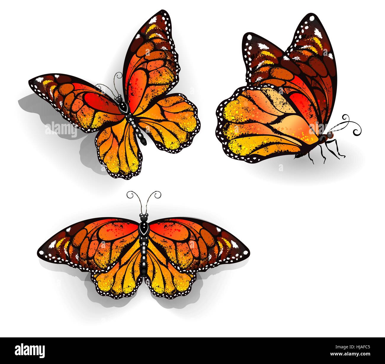 Set Of Orange Realistic Isolated Monarch Butterflies On A White