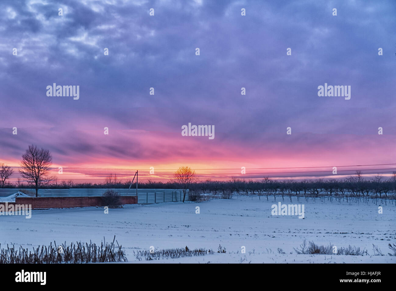 Winter panoramic landscape sunset in frosty day in the countryside ...