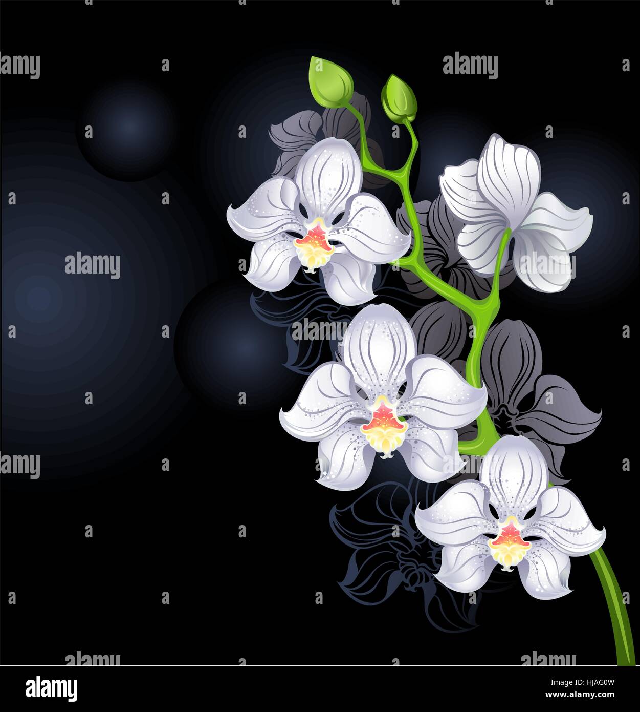 Orchid vector vectors hi-res stock photography and images - Alamy