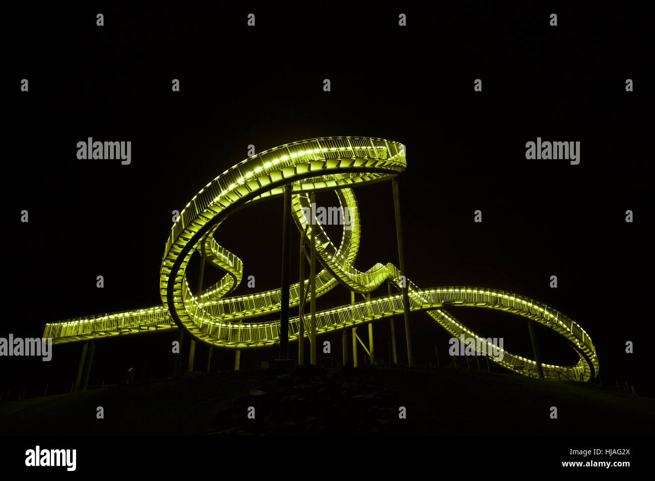 Tigerturtle hi-res stock photography and images - Alamy