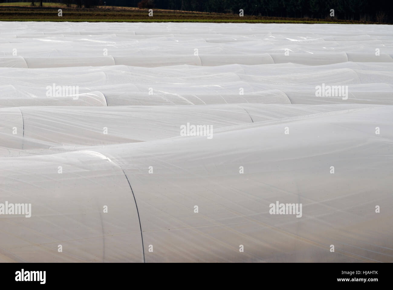 agriculture, farming, field, lines, row, acre, plastic, synthetic ...